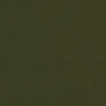 Back Country - Overland Explorer Vehicles